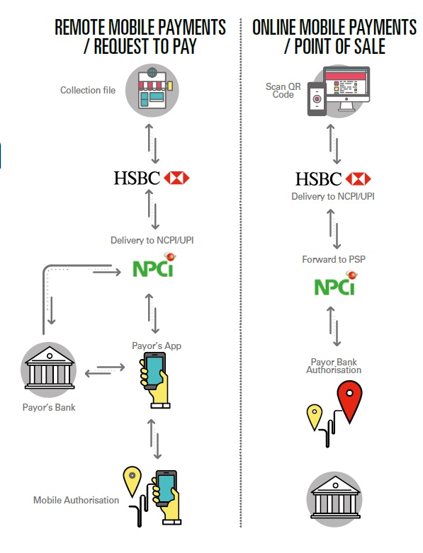 Instant payment schemes | Insights | HSBC