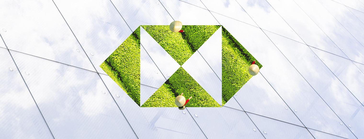Sustainable finance | HSBC New Zealand