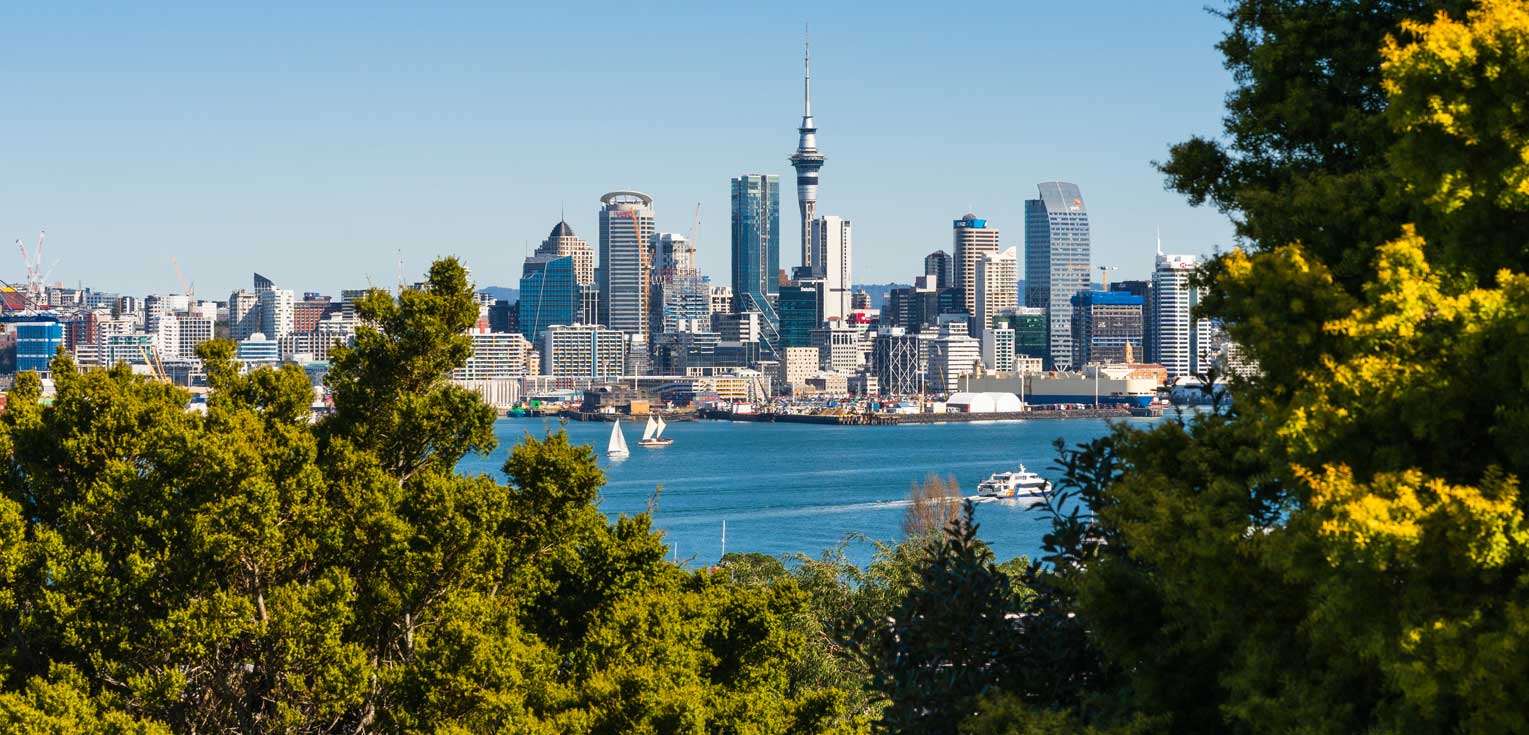 New Zealand in 2024 | HSBC New Zealand